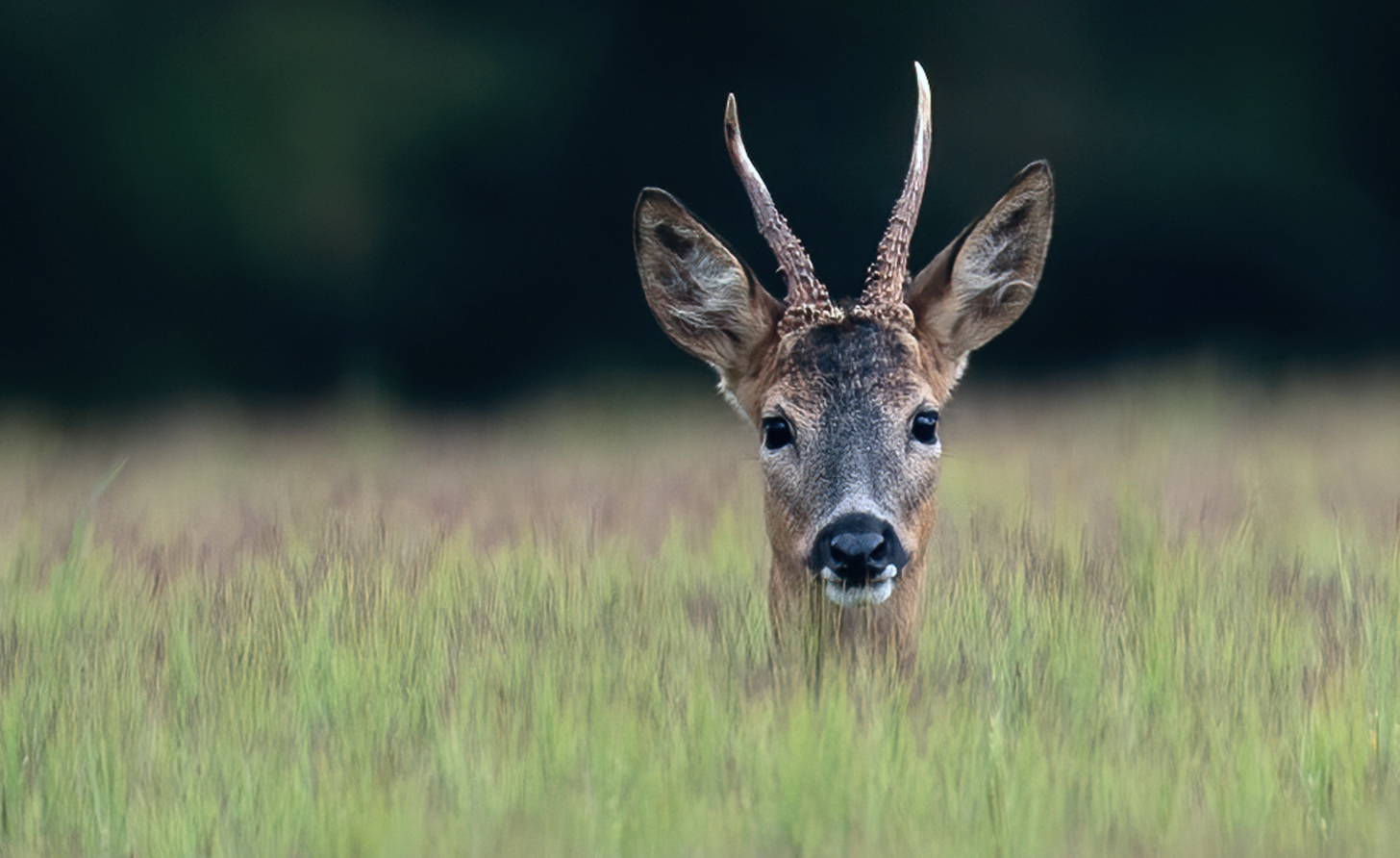 Contact us - The Condiment Co